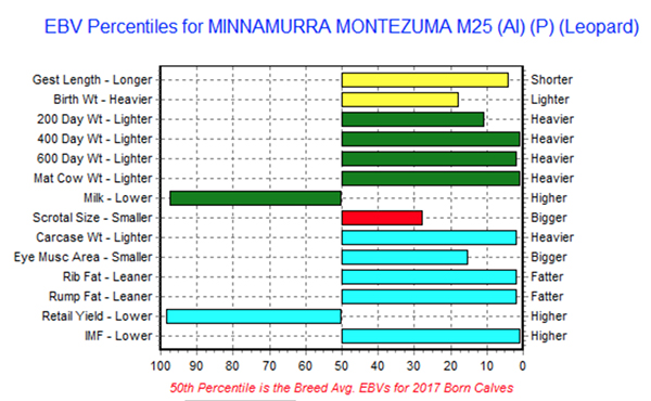 MPC_M25_August_2019_Breedplan | JAD Speckle Park